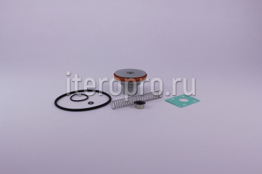 Комплект ремонтный клапана впускного для NK100/160 113964 Rotorcomp ...